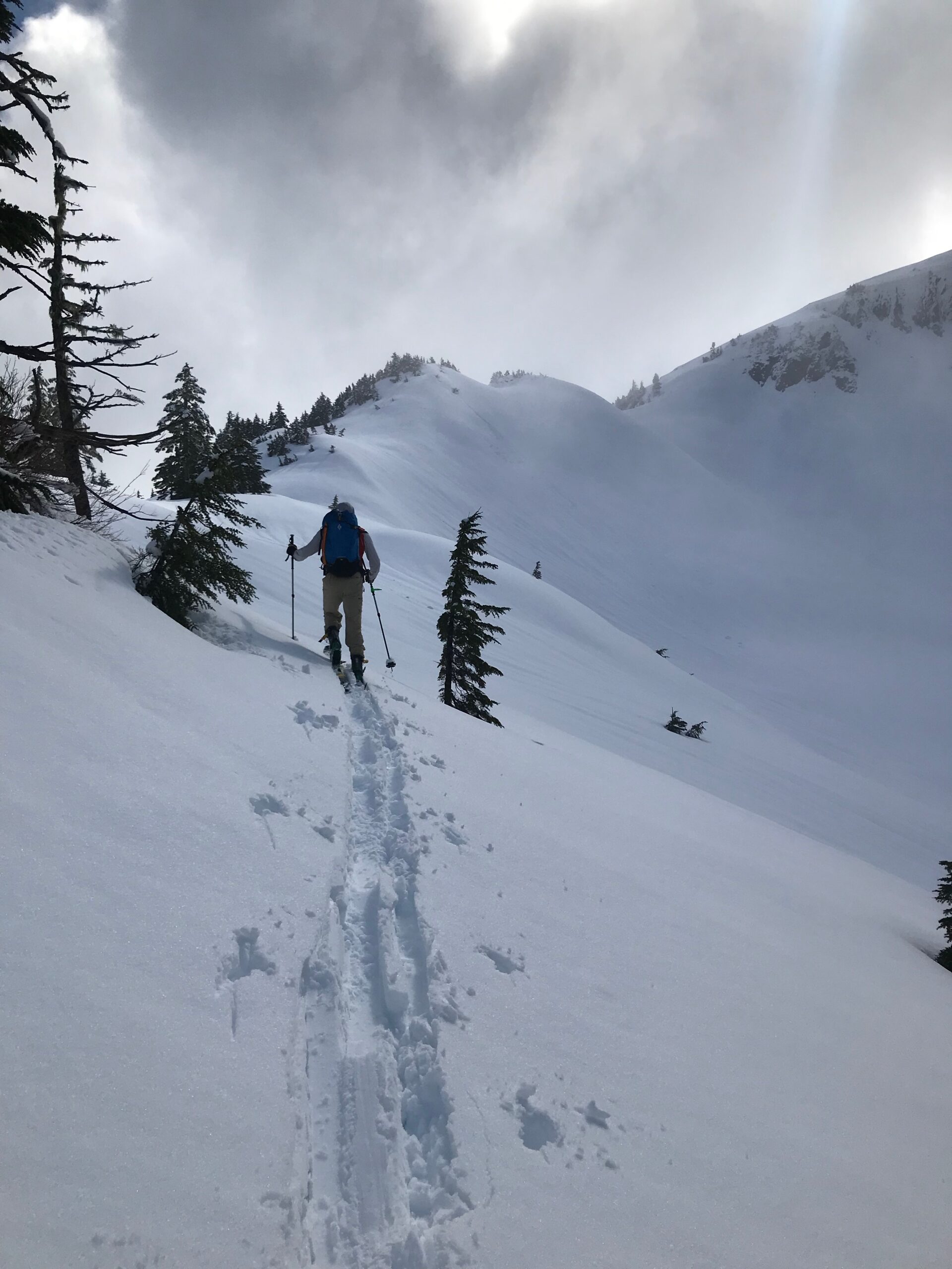 Backcountry Day Trips – Alaska Powder Powder Descents